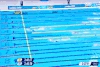 GIFs animados en Natación 1/3 | MISTERGIF