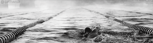 GIF de Natacion para compartir en Natación - GIF Animado | MISTERGIF