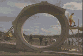 GIF de Jackass para compartir en Jackass - GIF Animado | MISTERGIF