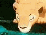 GIF de Nala para compartir en Nala - GIF Animado | MISTERGIF